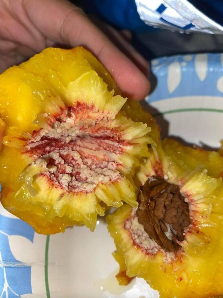 White Stuff on Your Peach Pit? Here’s What It Really Is – Grandma ...